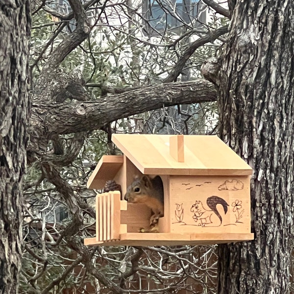 Squirrel House With Predator Guard - Etsy