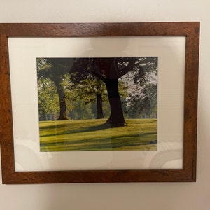 Oak Tree Photo Print, Black and White Art Photography, Oak Tree Wall ...