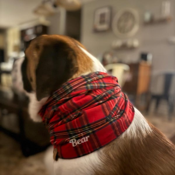 Christmas Plaid Flannel Infinity Dog Scarf, Personalized Red Stewart ...