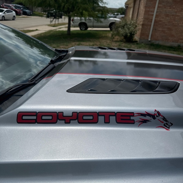 C5 Corvette Racing Decal Sticker - Etsy