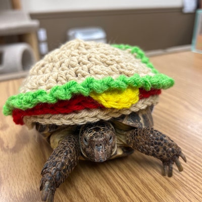 Crochet Strawberry Costume for Turtles/ Tortoises - Etsy