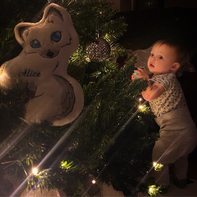 Plush Fluffy Skeleton 'is It a Bird an Owl or a - Etsy