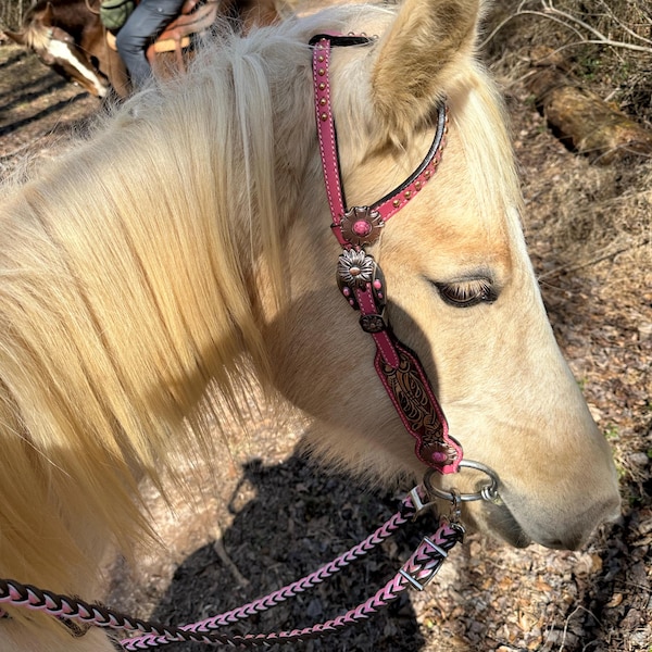 Create Your Own Custom 9 Strand Braided Paracord Barrel Reins Horse ...