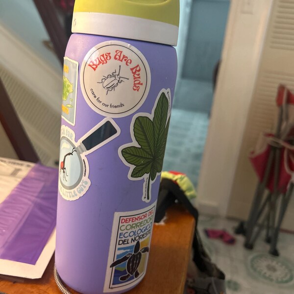 Support Local Biodiversity Environmental Preservation Original Art ...