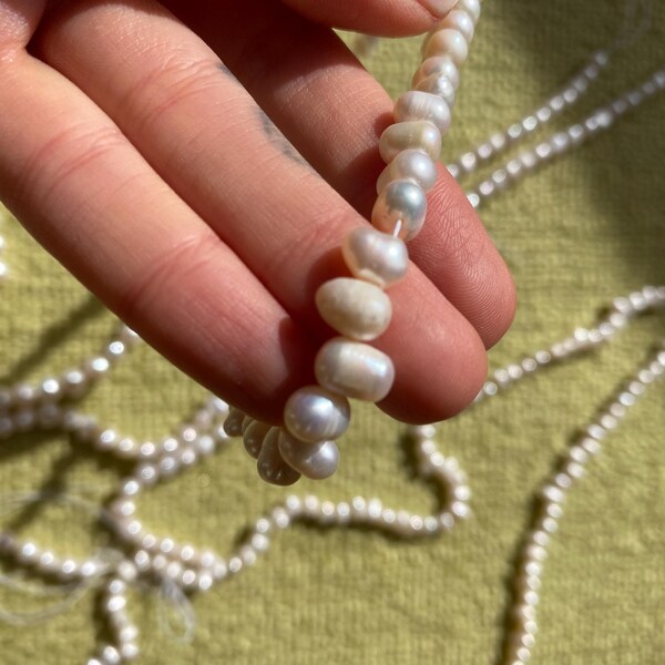 15.3 Inch Natural Abalone Shell,flat Round Shell,bright Polish Abalone ...