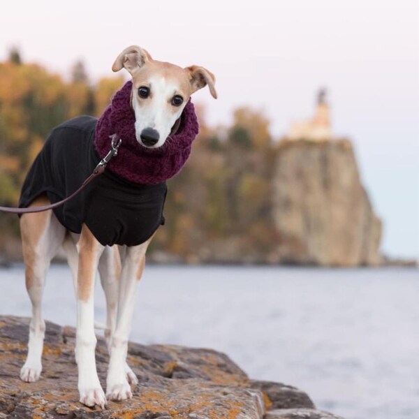 Chunky Knit Snoods | Greyhound | Lurcher | Whippet - Etsy