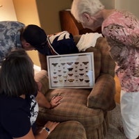 Alberta Backyard Birds Field Guide Art Print / Watercolor Painting ...