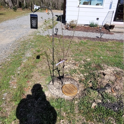 Custom Engraved Memorial & Tribute Stone 11 Inch Tree is Dedicated in ...