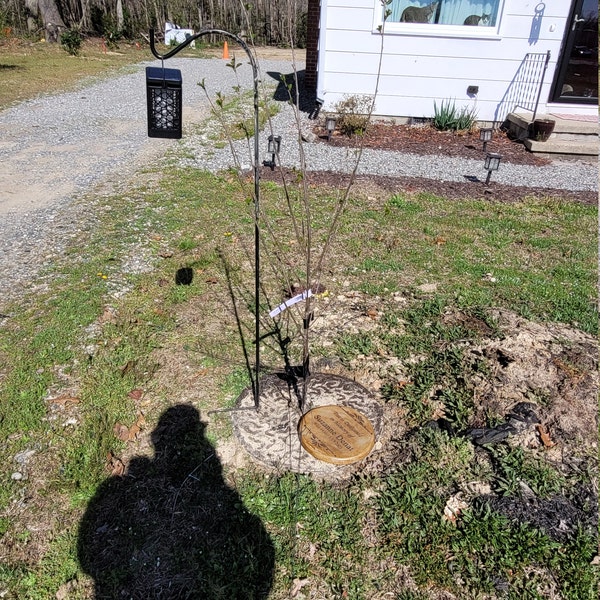 Custom Engraved Memorial & Tribute Stone 11 Inch Tree is Dedicated in ...