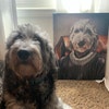 Custom Justice Pet Portrait Pet Portraits Custom Pet - Etsy