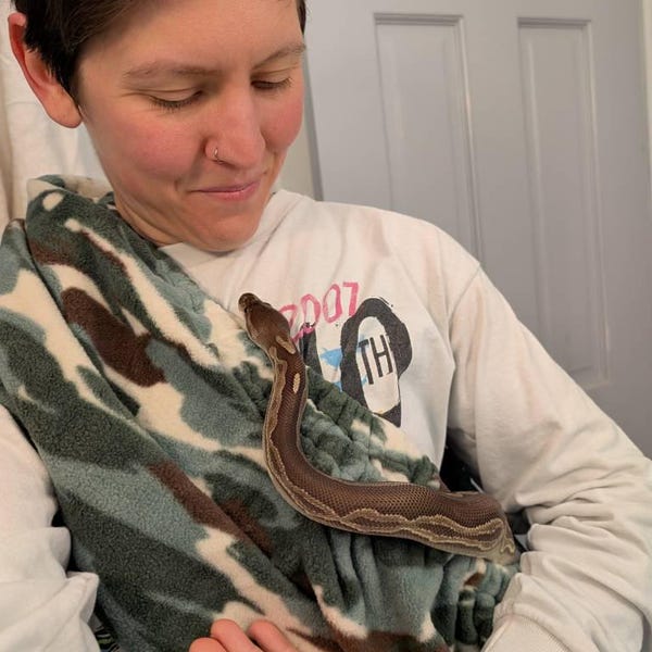 Critter Cuddler™ Small Animal Bonding Sling Pet Carrier | Handsfree ...