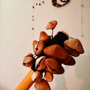 Terre Shaman-egg Huingo Shaker Handcrafted From Tutuma Seeds, Ethnic ...