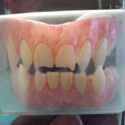 Werewolf / Wolf / Werewolf Teeth / Animal / Natural Wyndigu Teeth ...