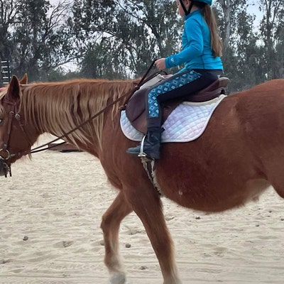 Personalised Storm-dri Horse Riding Jacket Kid's - Etsy UK