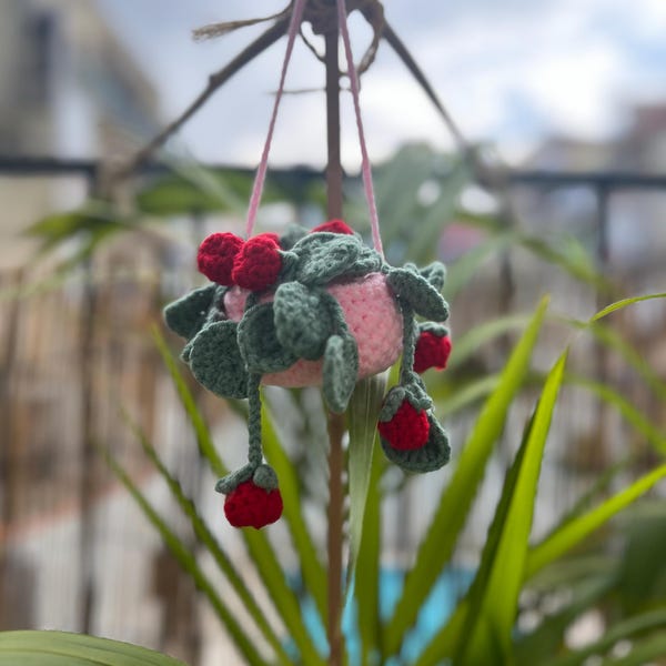 Tiny Pothos Crochet Pattern Bundle Pothos Jade, Monstera and String of ...