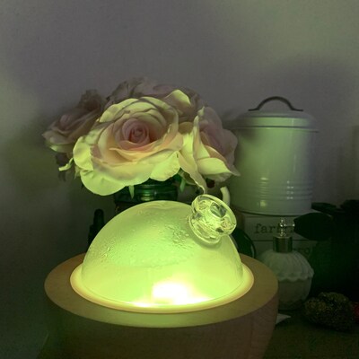 Willow Glass Dome & Wood Grain Diffuser Essential Oil - Etsy