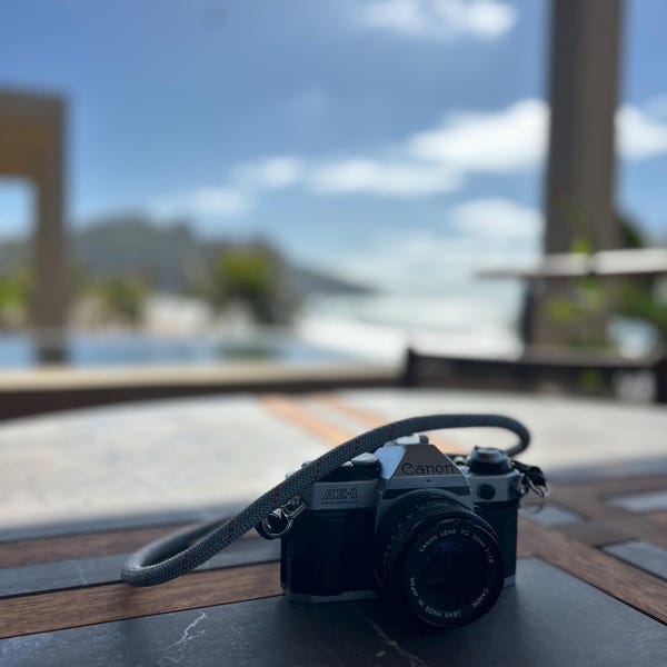 Black Camera Neck Strap With Optech Qd Mini Loop Attachments - Etsy