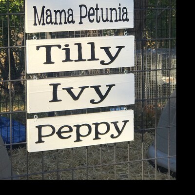Chicken Name Signs Custom Coop Decor Flock or Farm Animal Name Plates ...