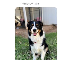 Fun Custom Text Message Conversation Keychains, 1st Date Text Messages ...