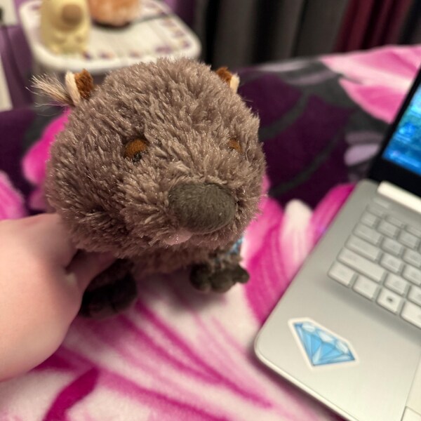 GANZ Webkinz Wombat // New With Sealed Code - Etsy