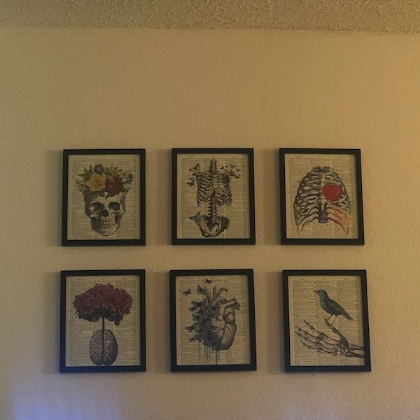 Anatomy Art Print Set 6 Medical Wall Art Anatomical Poster Home Decor ...