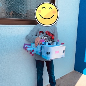 Minecraft Axolotl Valentine Box Cute Printable - Etsy