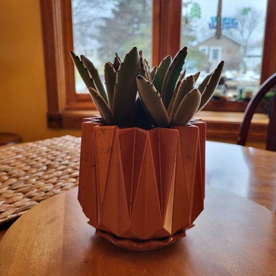 The Estrella Planter in Dark Green Drainage Hole and Tray Modern Indoor ...