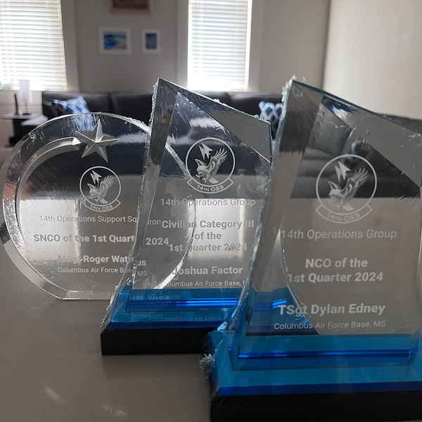 Personalized Shield Acrylic Award, Custom Award, Employee Recognition ...