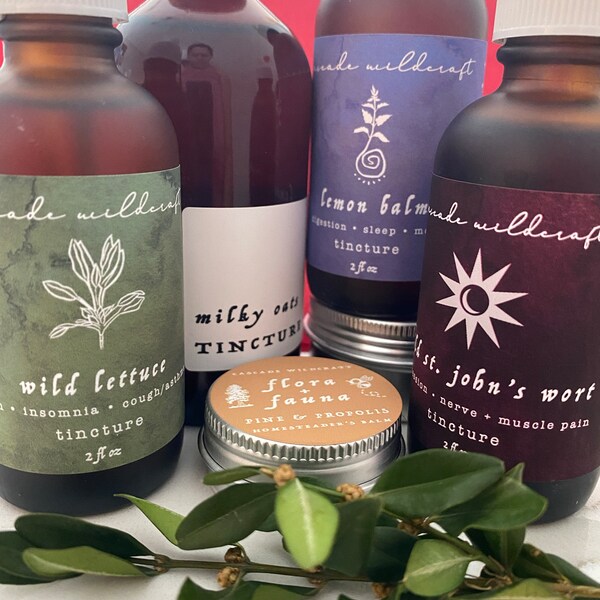 Devils Club Root Tincture Wildcrafted & Organic Fresh Plant Infused ...