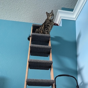 Cat Ladder 3 Step Cherry Hardwood Handcrafted High-quality Ladder for ...