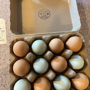 Split-apart Egg Cartons Vintage Printed Design Bulk 50 | Etsy