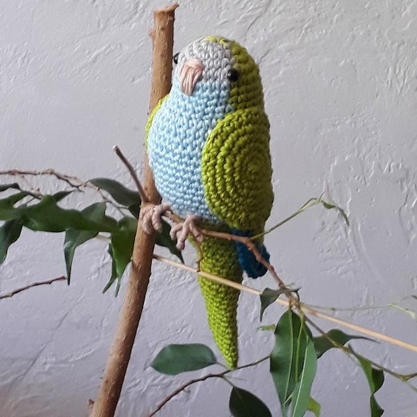 Crochet Green Quaker Parrot Pattern PDF With Photos and Video Monk ...