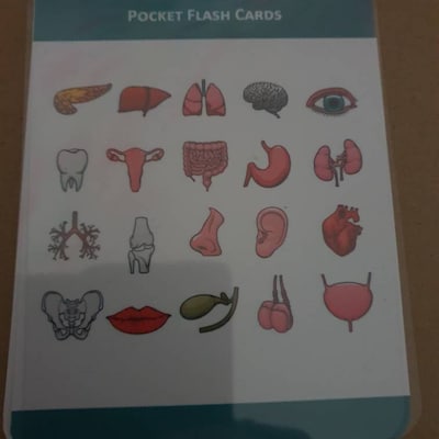 Bristol Stool and Urine Colour Charts ID Badge Flash Card Nurse Student ...