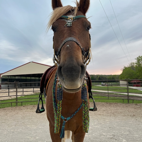 Custom 9 Strand Braided Barrel Reins, Loop Reins - Etsy