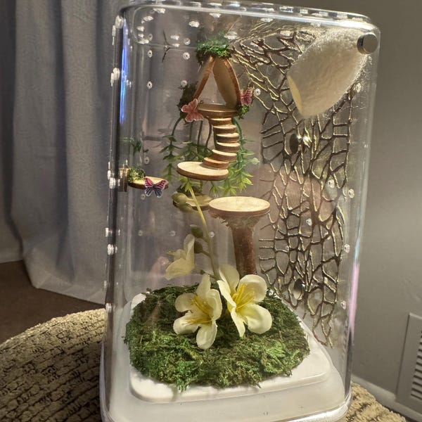 Jumping Spider Enclosure Decor - Etsy