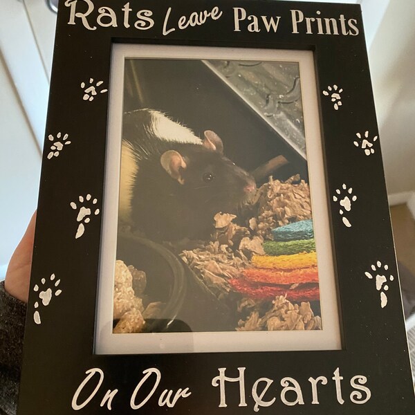 Rat Paw Prints 4x6 Picture Frame - Etsy
