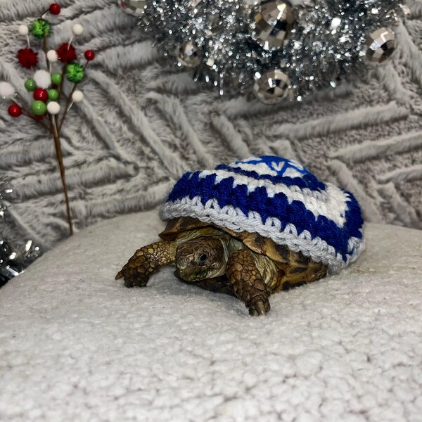Graduation Cap Costume for Turtle/ Tortoise (please Provide Requested ...