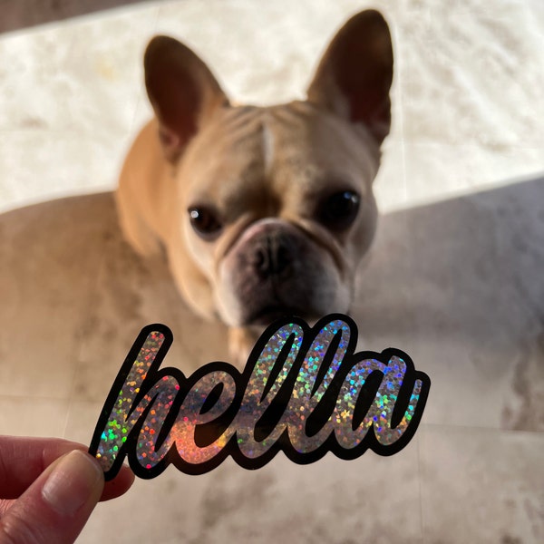 Hella Red & Gold Enamel Label Pin San Francisco 49ers San Francisco ...