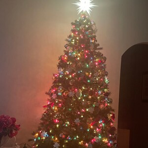 13 Red & White German Paper Stars Froebel Stars Moravian Stars Star ...