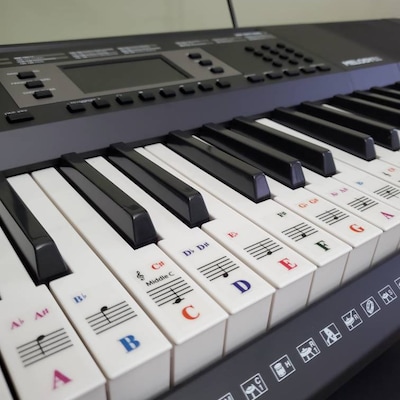 Piano and Keyboard Note Chart, Use Behind the Keys, Ideal Visual Tool ...