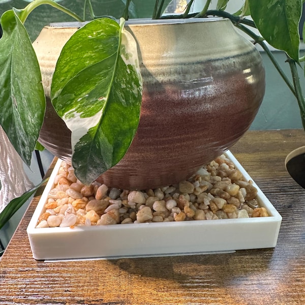 Pebble Tray for Plants (pre-washed Pebbles Included) - Etsy