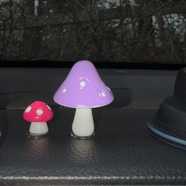 Booty Squish Stress Toy Butt - Fidget Mochi Butt Buttcheek - Etsy