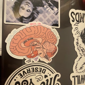 Stop Screaming, I'm Scared Too Sticker Funny EMS Sticker Medical EMT Rn ...