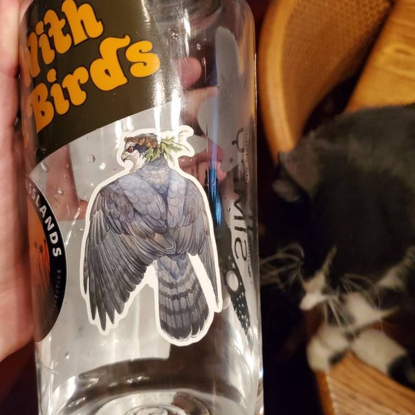 Vinyl Bird Stickers - 7 Designs to Choose From - Hawk Falcon Owl Raven ...