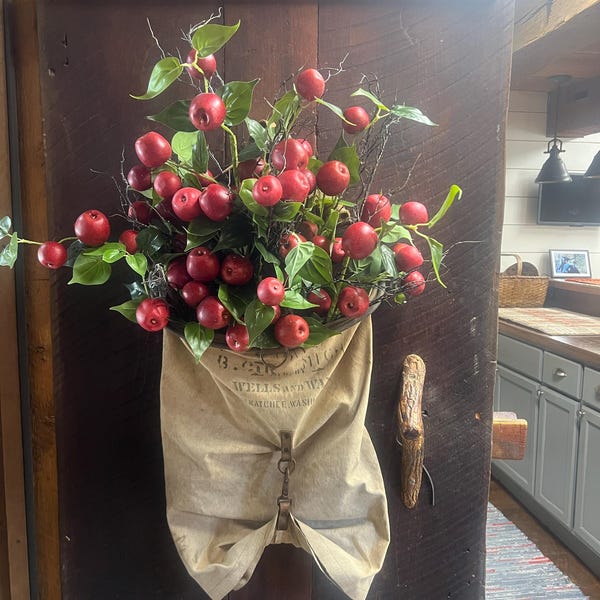 27.5" Baby Cosmos Spray X5 Blue - Etsy