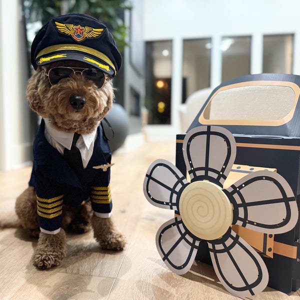 Custom Made Dog Cat Pet Pilot Captain Aviator Uniform Blazer Coat and ...