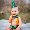 Dinosaur Cake Smash Outfit, Dinosaur First Birthday Outfit, Diaper ...
