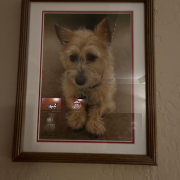 Custom Multiple Opening Single Mat Matboard for Picture and Certificate ...