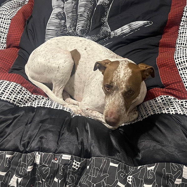 Mountain Goat Quilt, Goat, Quilt, Mountain Goats, Handcrafted ...