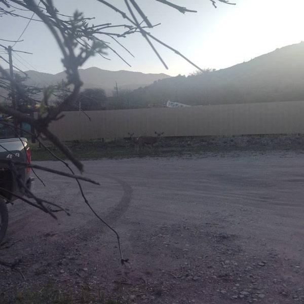 Vintage Small Perpetual Calender 1960s for Desk - Etsy